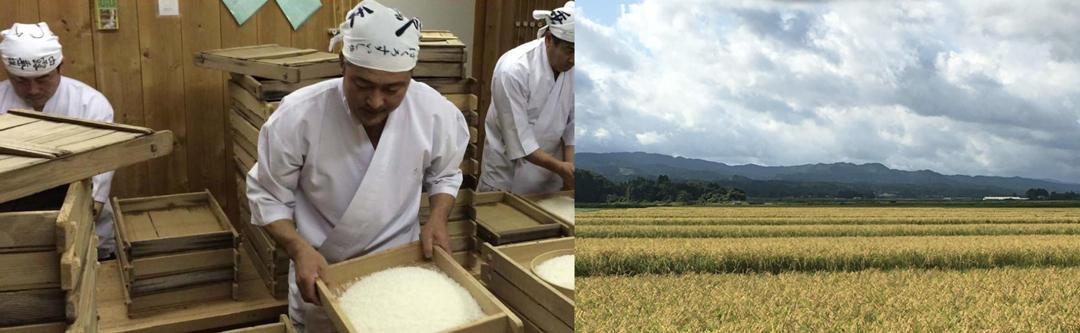 Kimoto Glassware x Takenotsuyu Shuzojo: Japanese Sake Glass Seminar ...